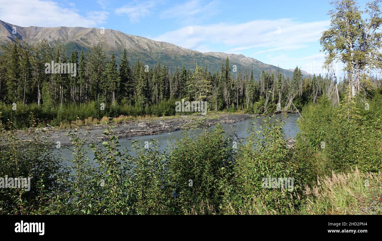 Scenic landscape in the middle of nowhere in Alaska, trees and ...