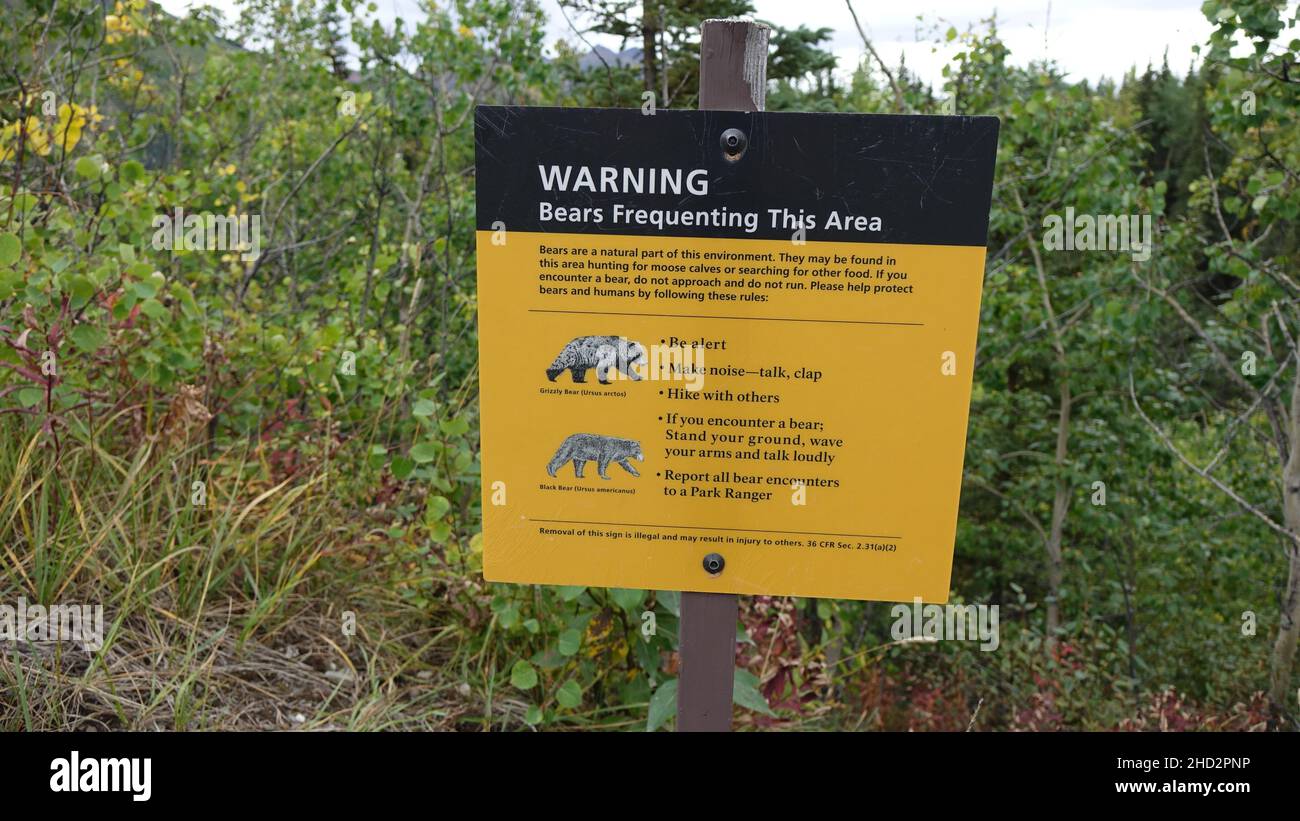Brown bear warning hi-res stock photography and images - Alamy