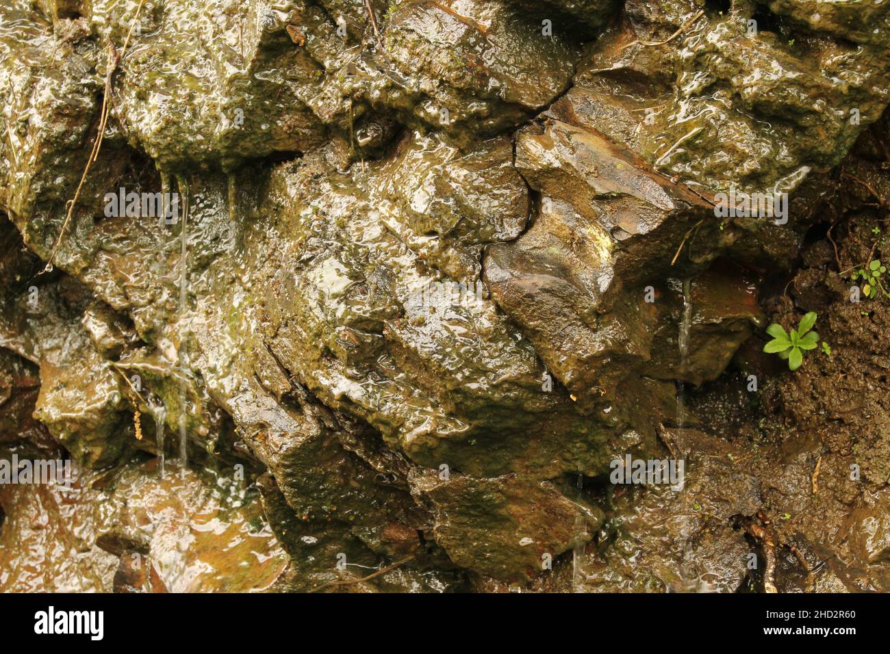 Texture of a wet rock surface Stock Photo - Alamy
