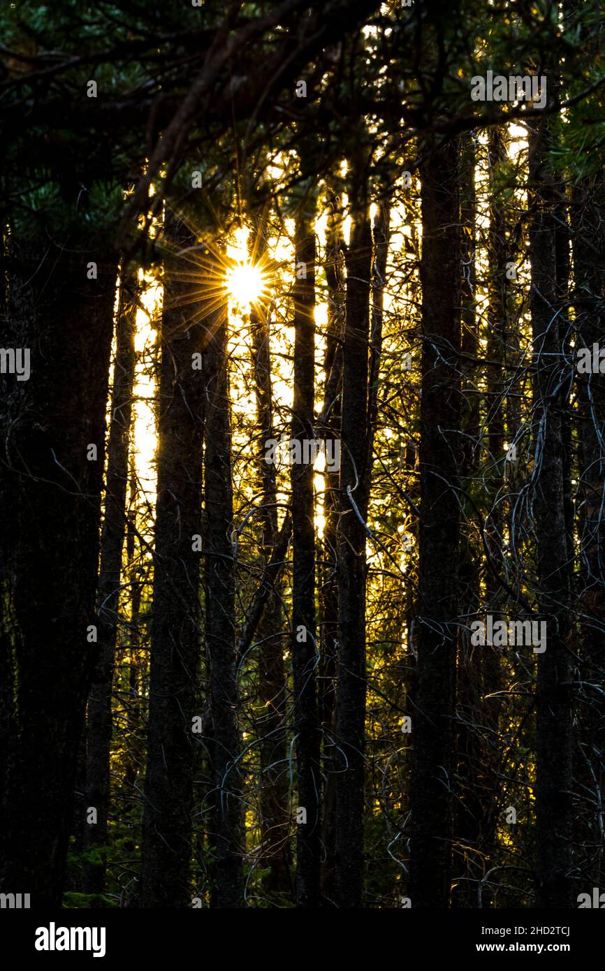 Campground sunset hi-res stock photography and images - Alamy