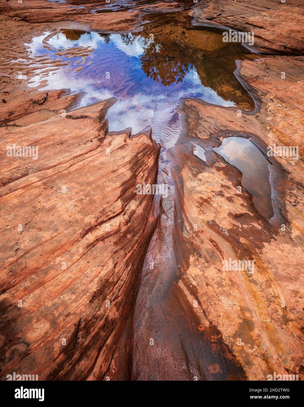 Summer sky and trees reflection in the Many Pools area of Zion National ...
