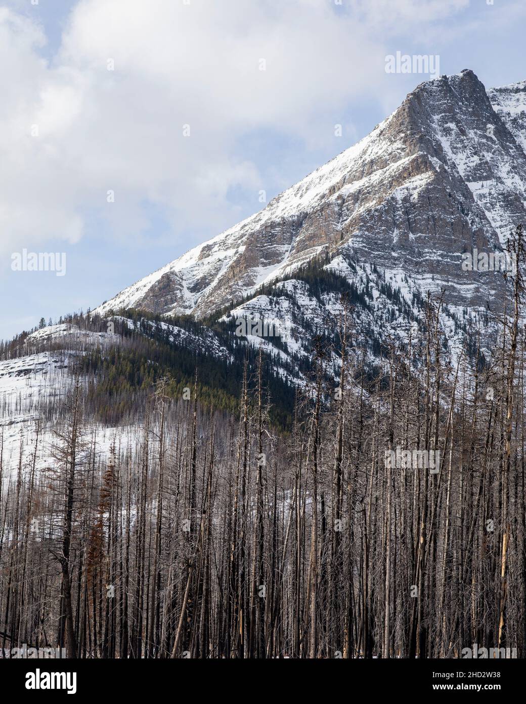 Park trailheads hi-res stock photography and images - Alamy