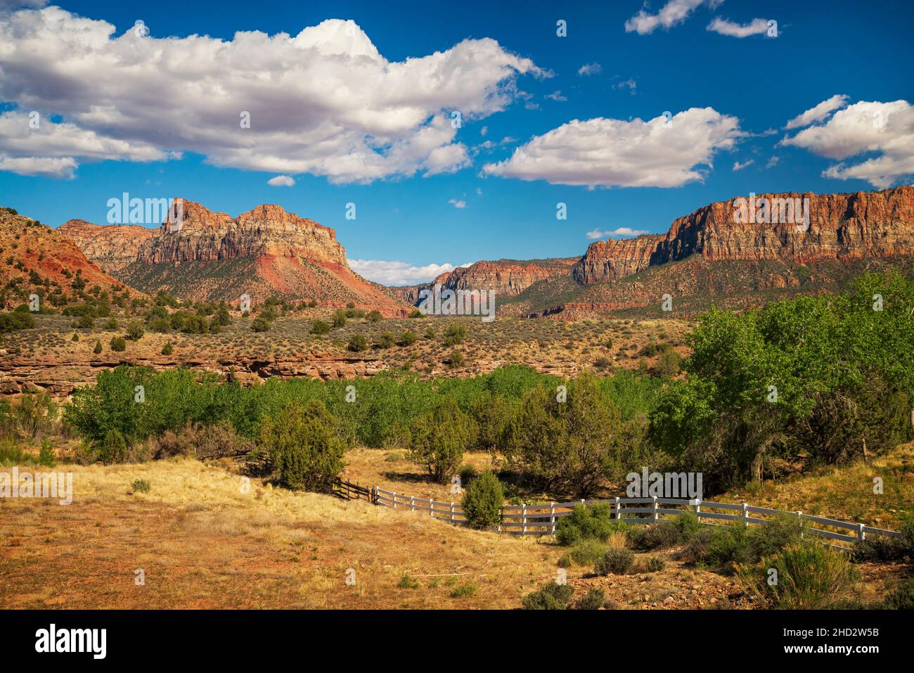 Springdale hi-res stock photography and images - Alamy