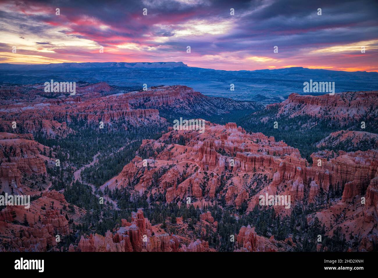 Beautiful Bryce Canyon National Park in Utah Stock Photo - Alamy