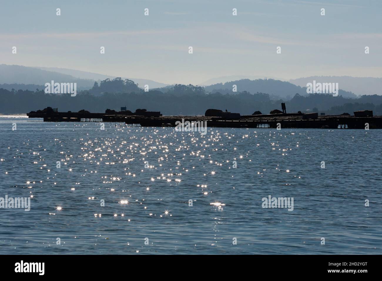 Mussel farm hi-res stock photography and images - Alamy