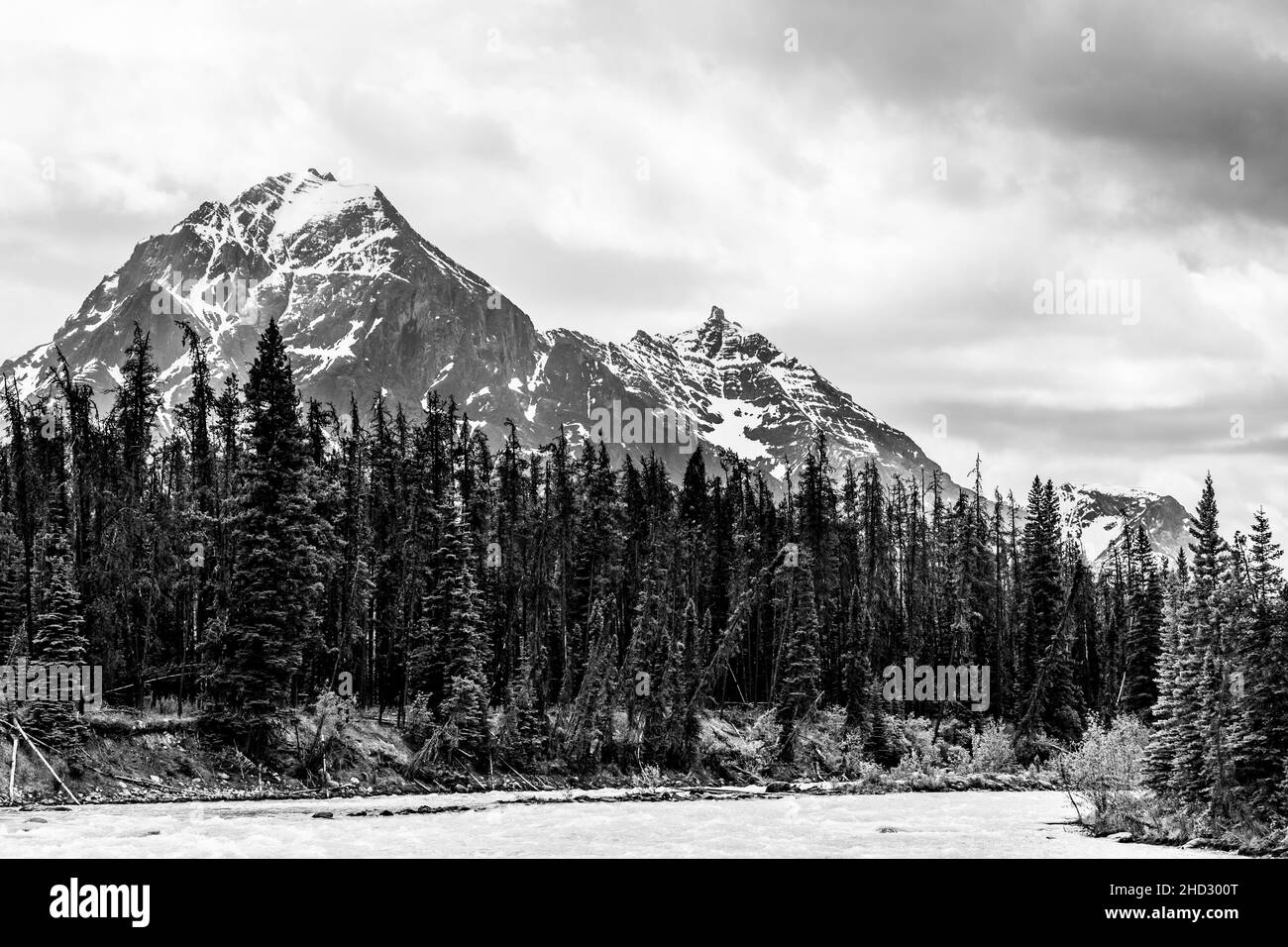 Black and white jasper hi-res stock photography and images - Alamy