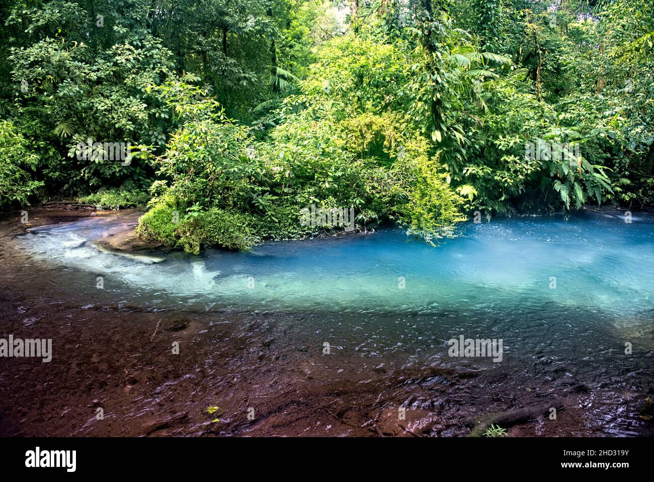 Confluence of the Buena Vista and Roble Rivers, where the turquoise Rio ...