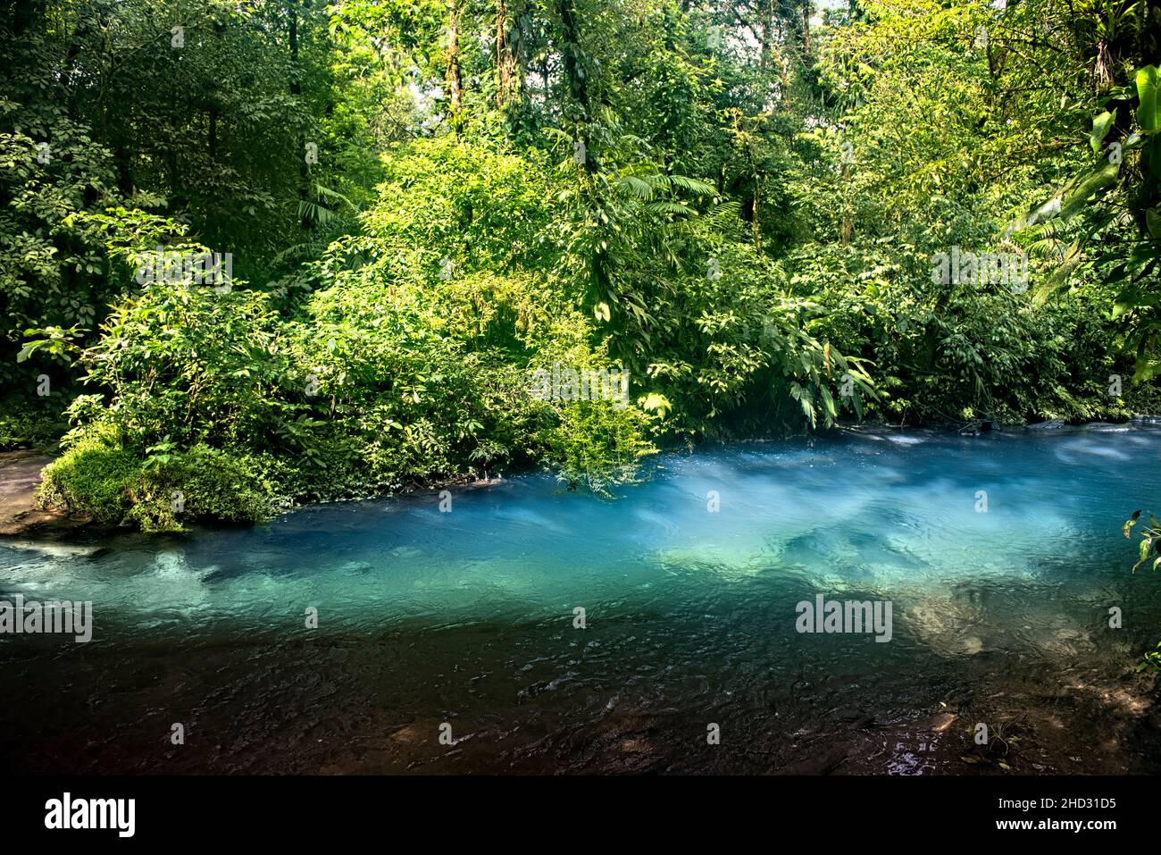 Confluence of the Buena Vista and Roble Rivers, where the turquoise Rio ...
