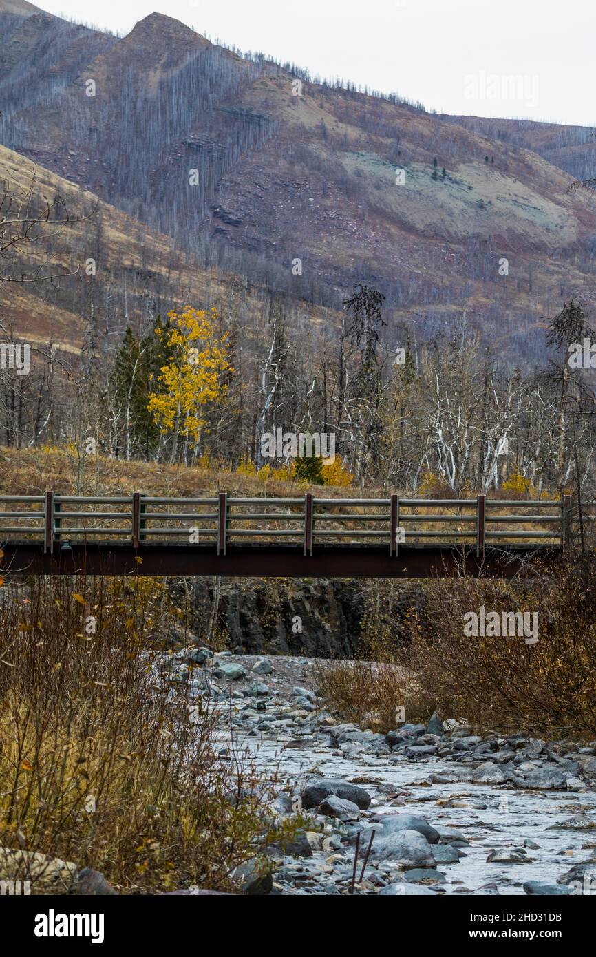 Creek footbridge hi-res stock photography and images - Alamy
