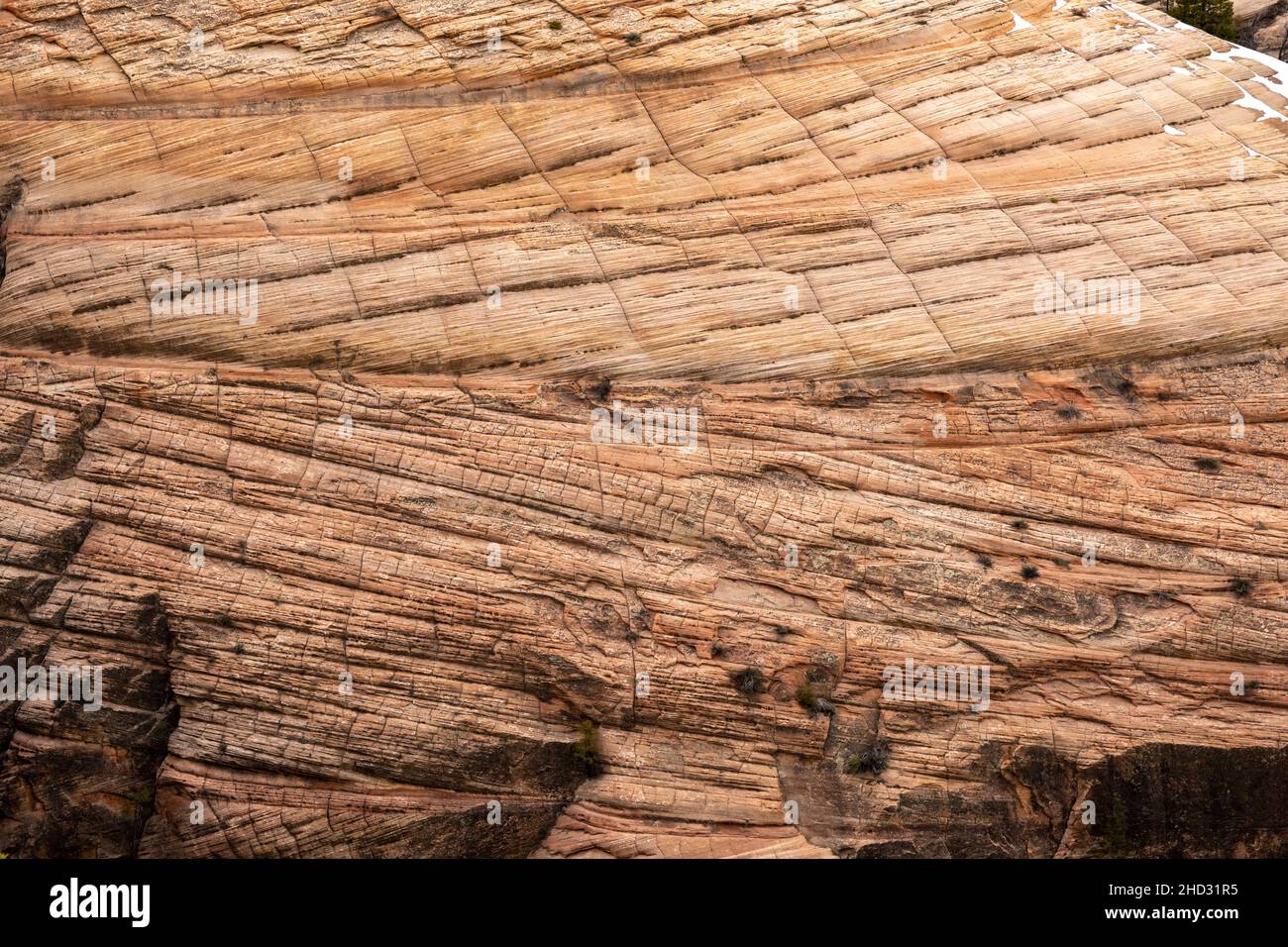 Canyon texture hi-res stock photography and images - Alamy
