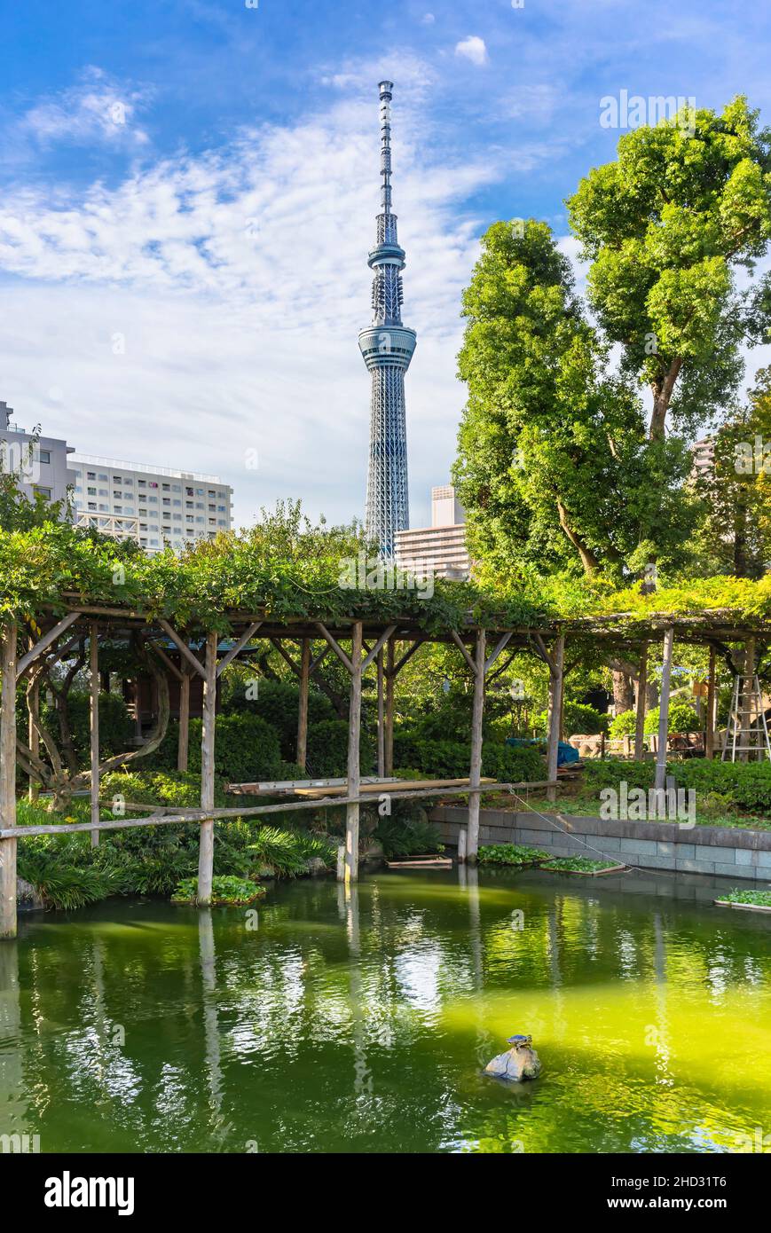 tokyo, japan - october 26 2019: Water turtle resting on a rock in the ...