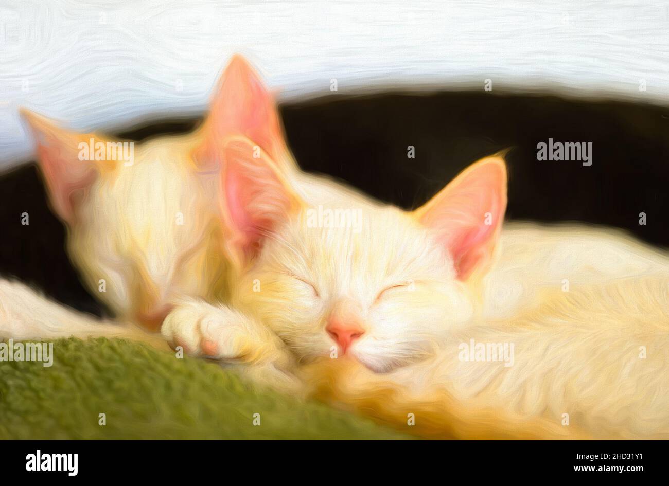 Two Cute Kittens Are Cuddled Up Sleeping Together Stock Photo - Alamy