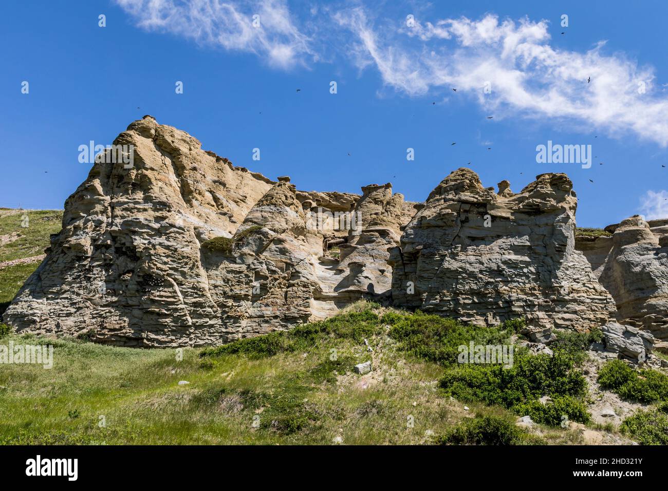 Hoodoos alberta hi-res stock photography and images - Alamy