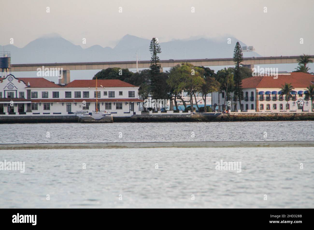 Brazil island snake hi-res stock photography and images - Alamy