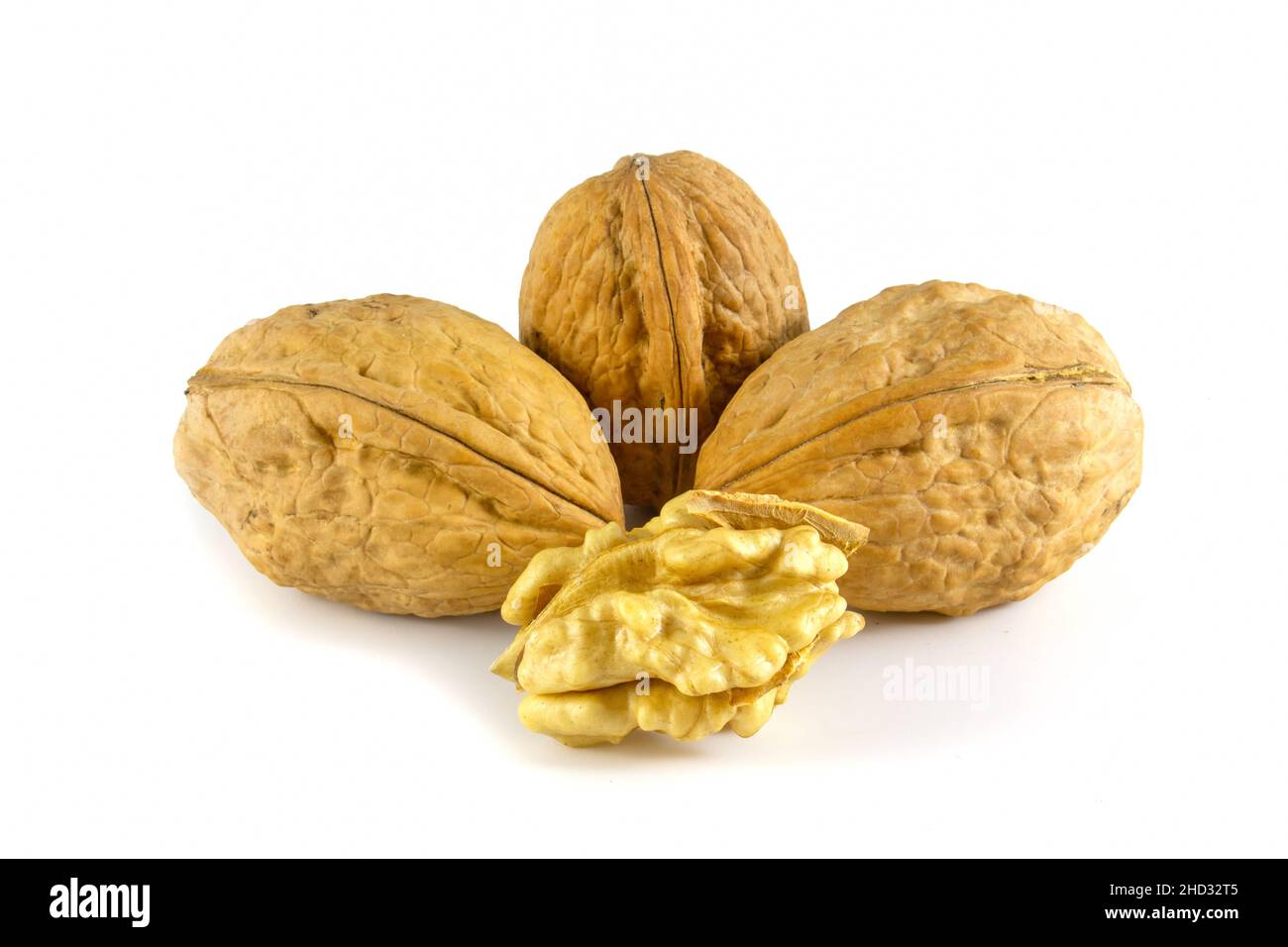 White nutshell hi-res stock photography and images - Alamy