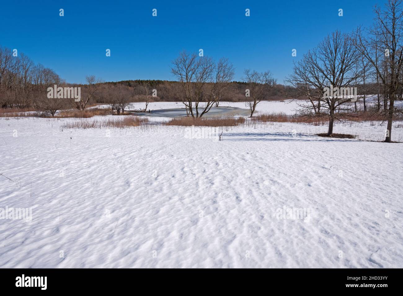 Winter Landscape in a Midwestern Savanna in Crabtree Nature Preserve in ...