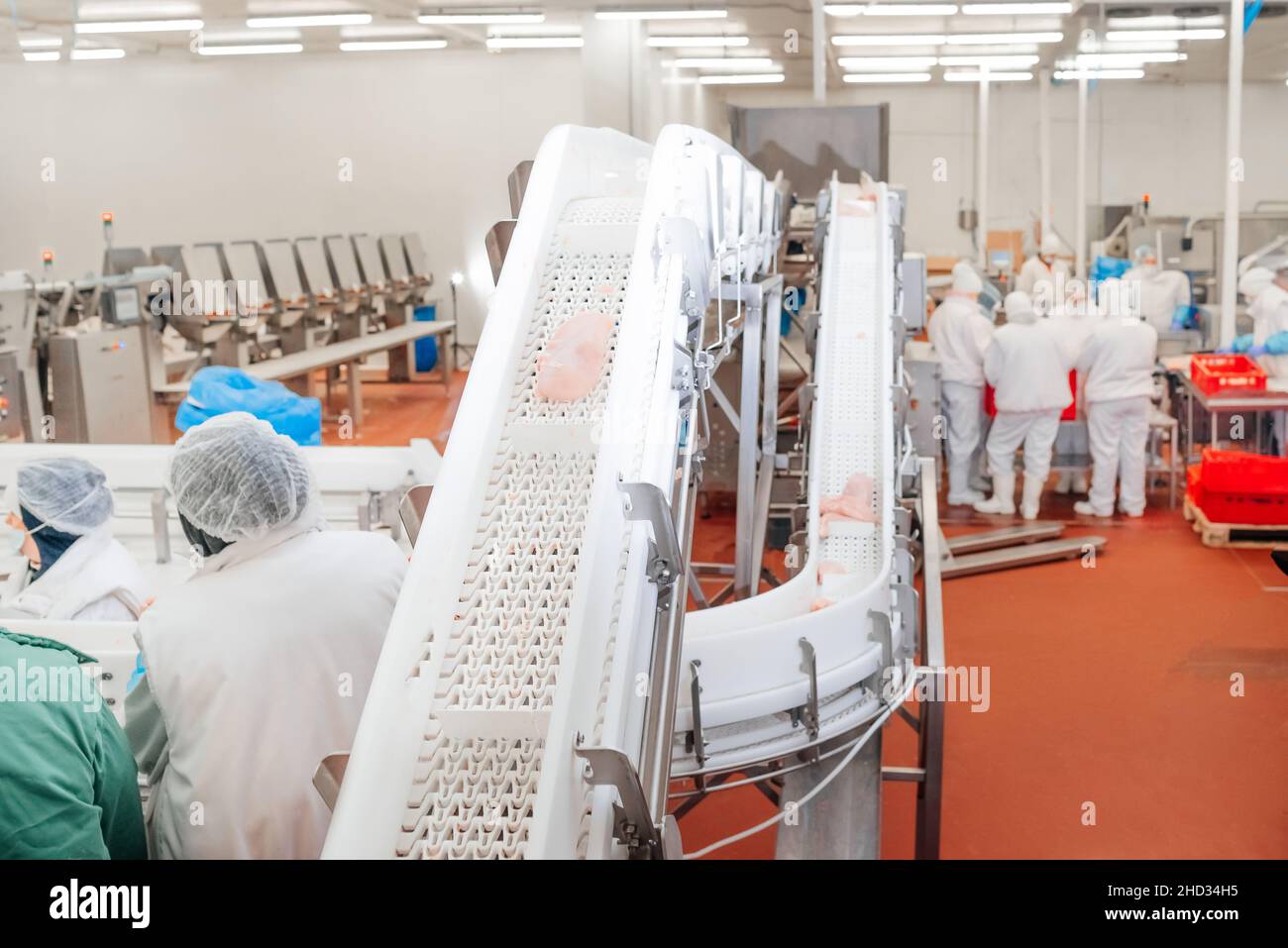 Chicken fillet production line . Factory for the production of food ...