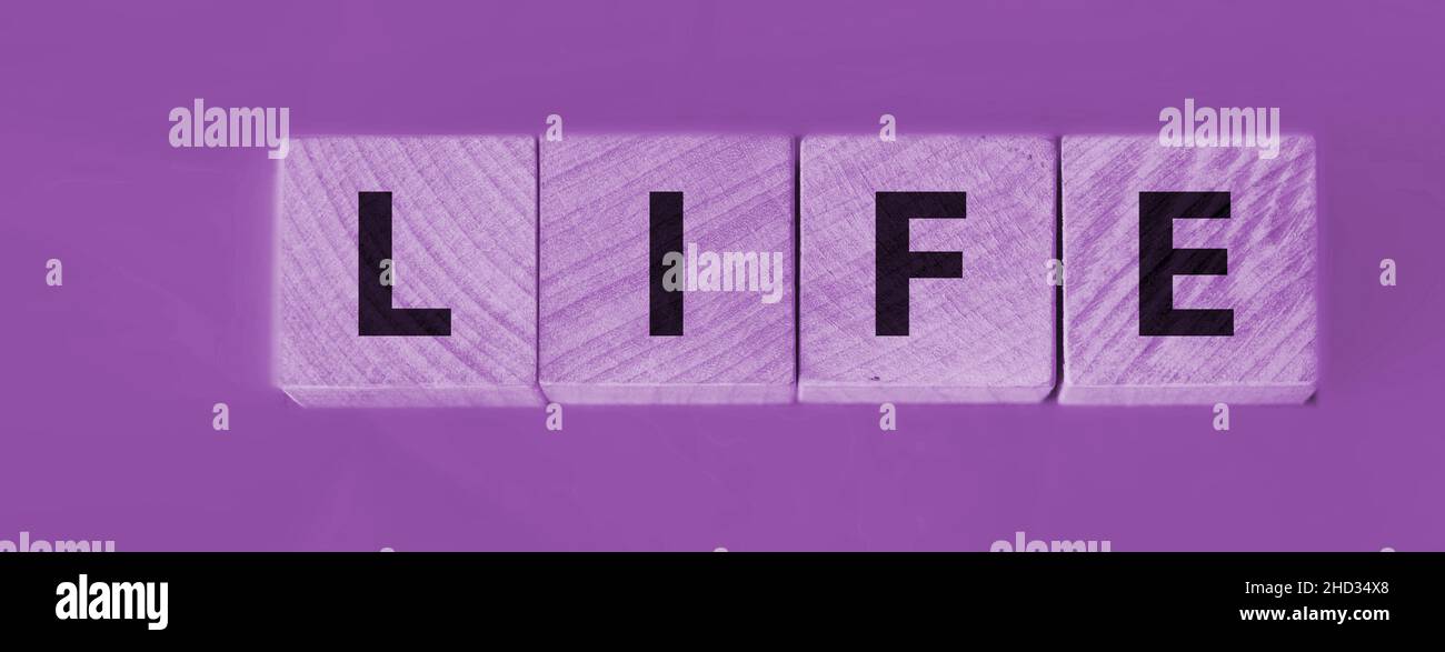 wooden cube whit the inscription Life, with on background. Safe life ...