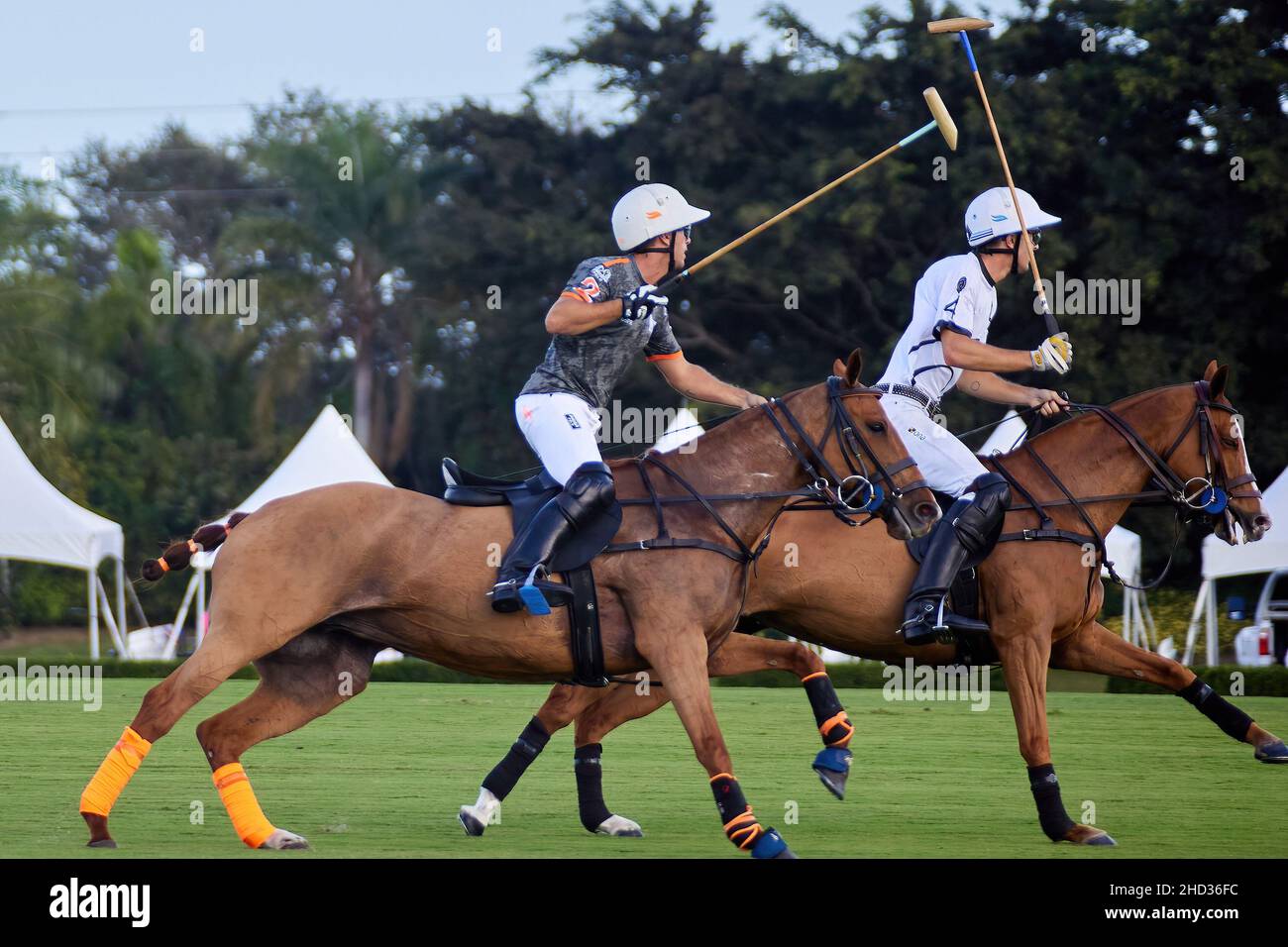 Lucas escobar hi-res stock photography and images - Alamy