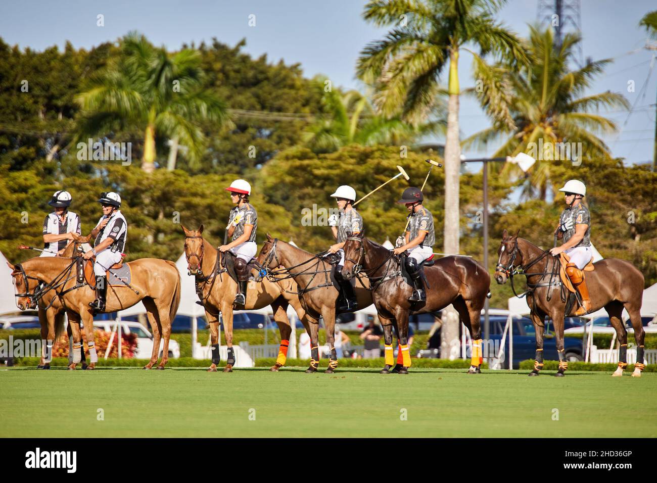 Franciso elizalde hi-res stock photography and images - Alamy