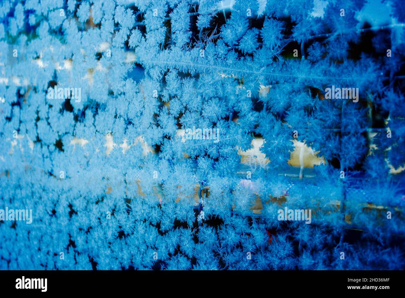Closeup of frost on a window under the lights - perfect for wallpapers ...