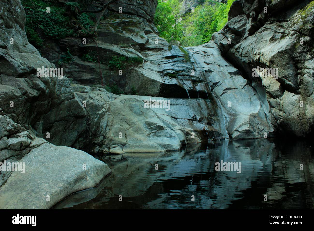 Lake surrounded by rocks and greenery in the daylight in a forest Stock ...