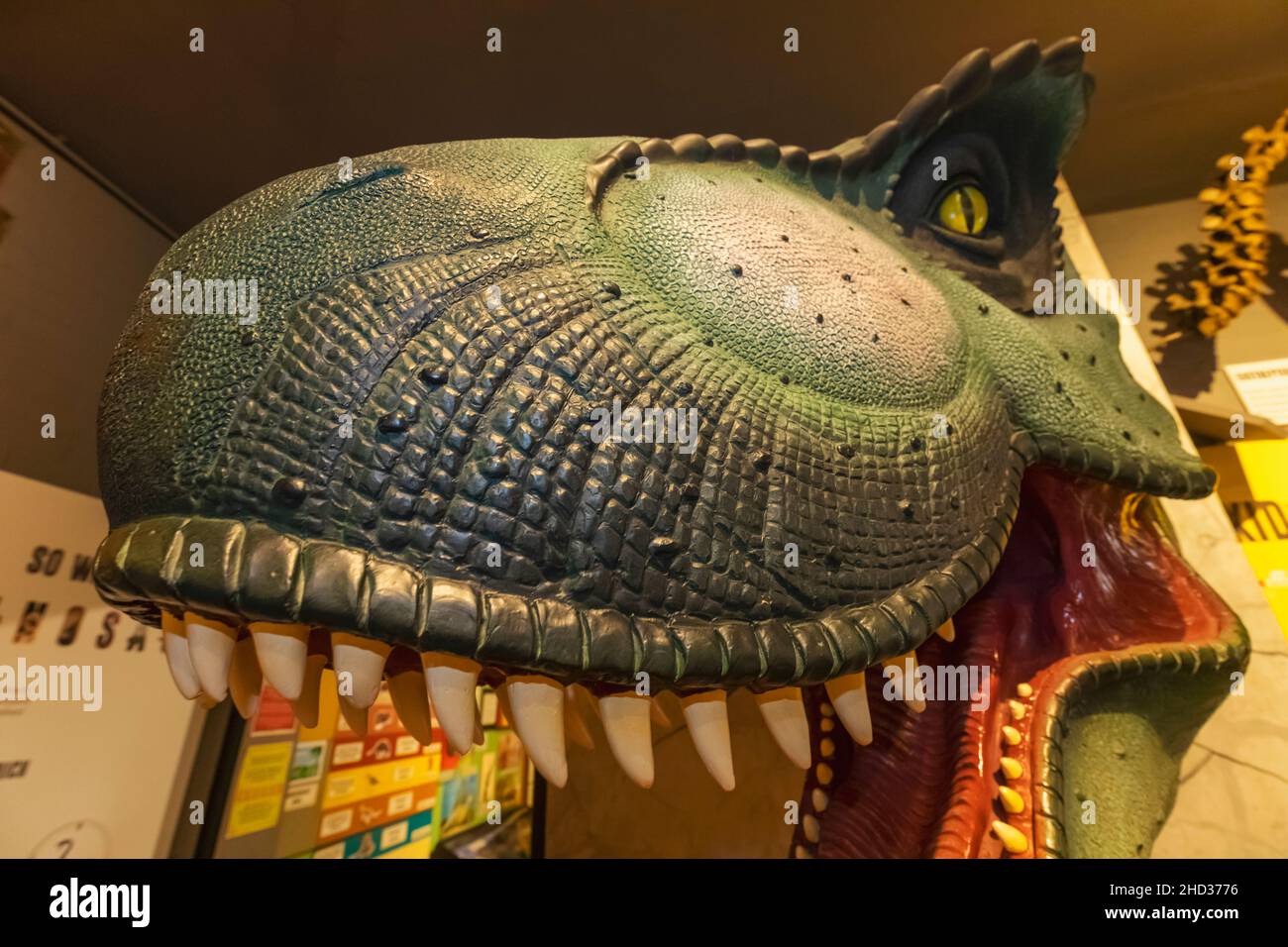 England, Dorset, Dorchester, The Dinosaur Museum, Model of a Dinosaur ...