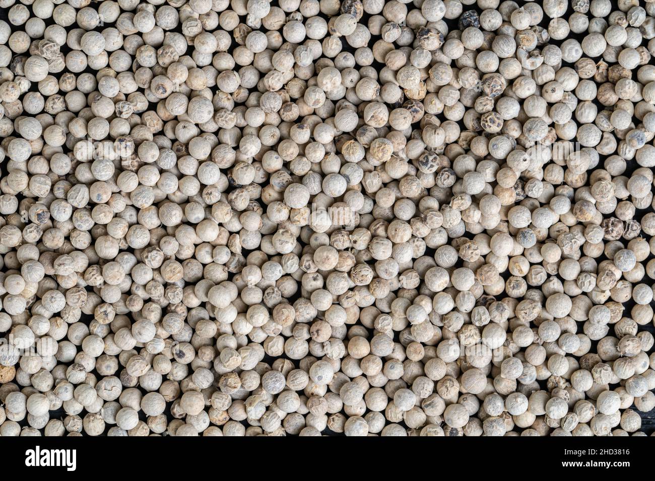 Top view of a pile of Indian spice seeds Stock Photo - Alamy
