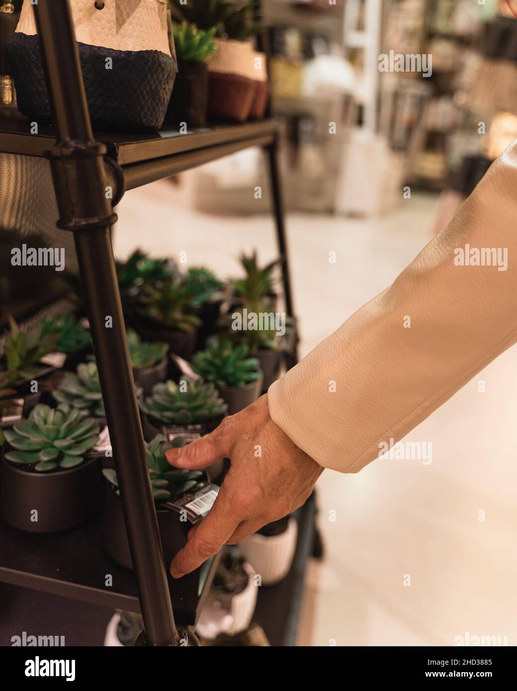 Consumerism female hi-res stock photography and images - Alamy