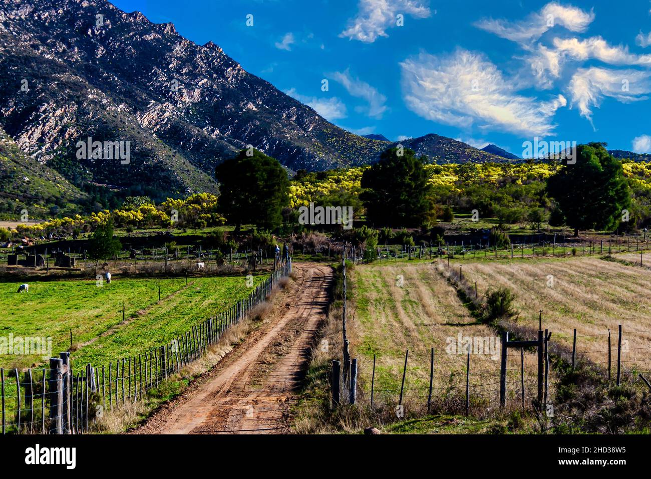 Two lane dirt road hi-res stock photography and images - Alamy