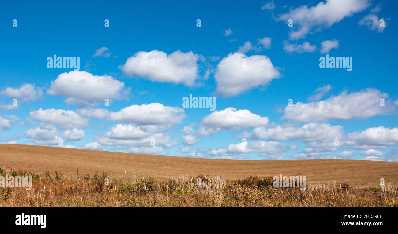 Brazil southern hi-res stock photography and images - Alamy