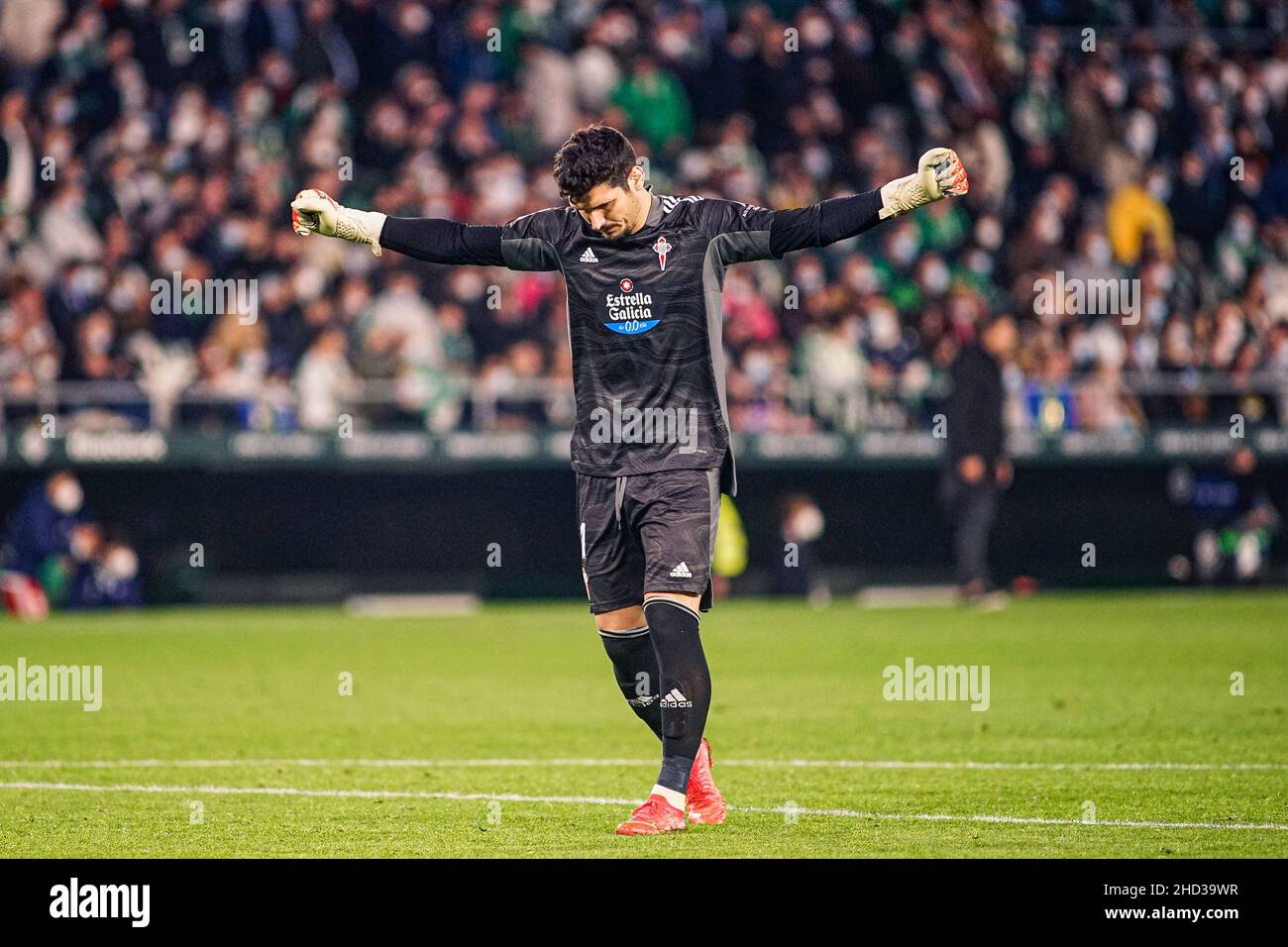 Real betis 2022 celebrating hi-res stock photography and images - Alamy