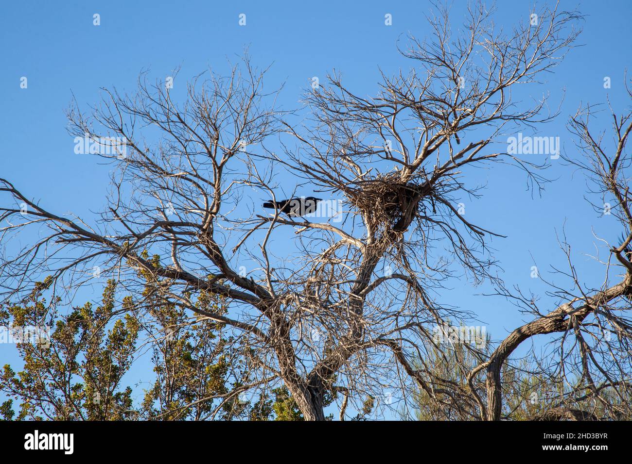 Australian geographic hi-res stock photography and images - Alamy