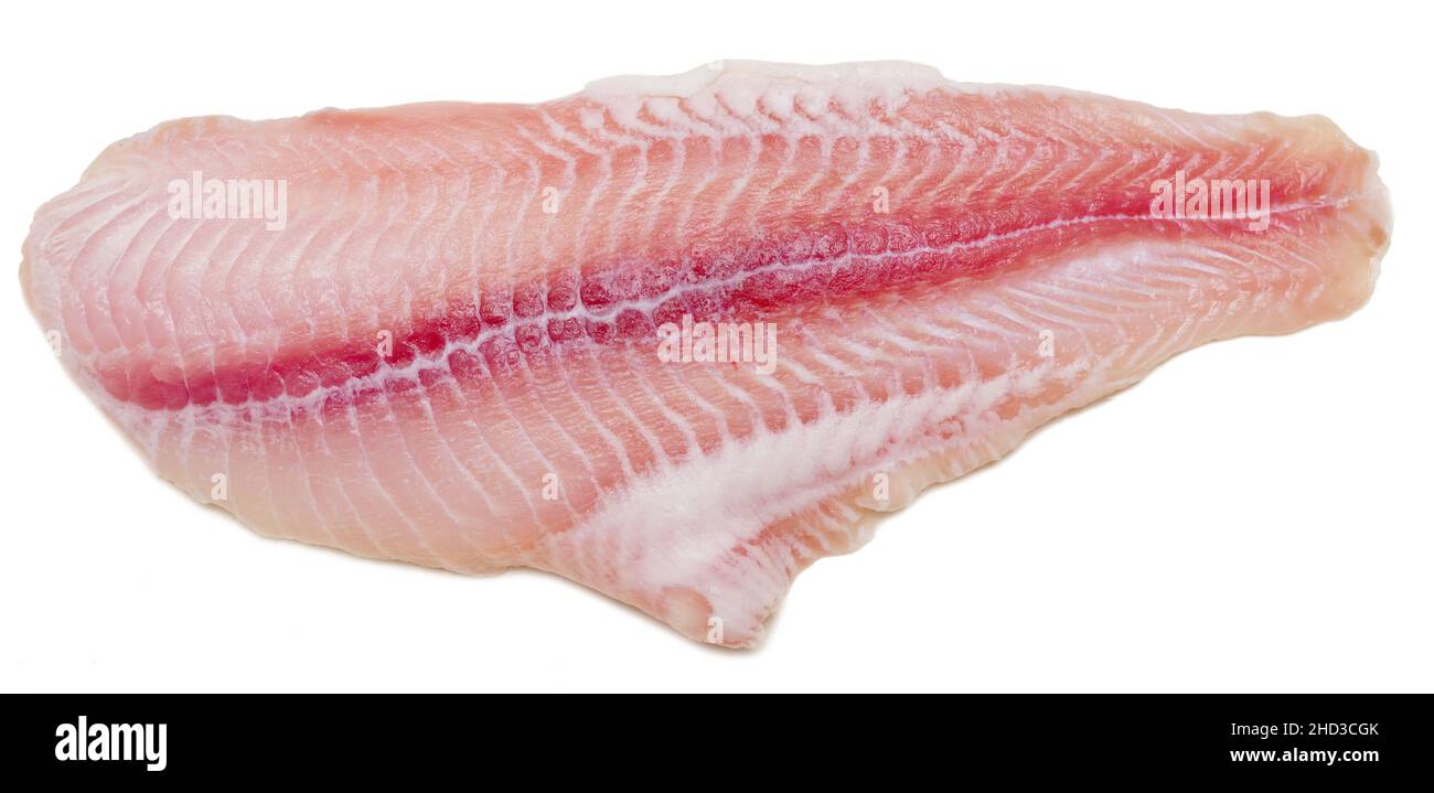 Fresh fish isolated on white background Stock Photo - Alamy