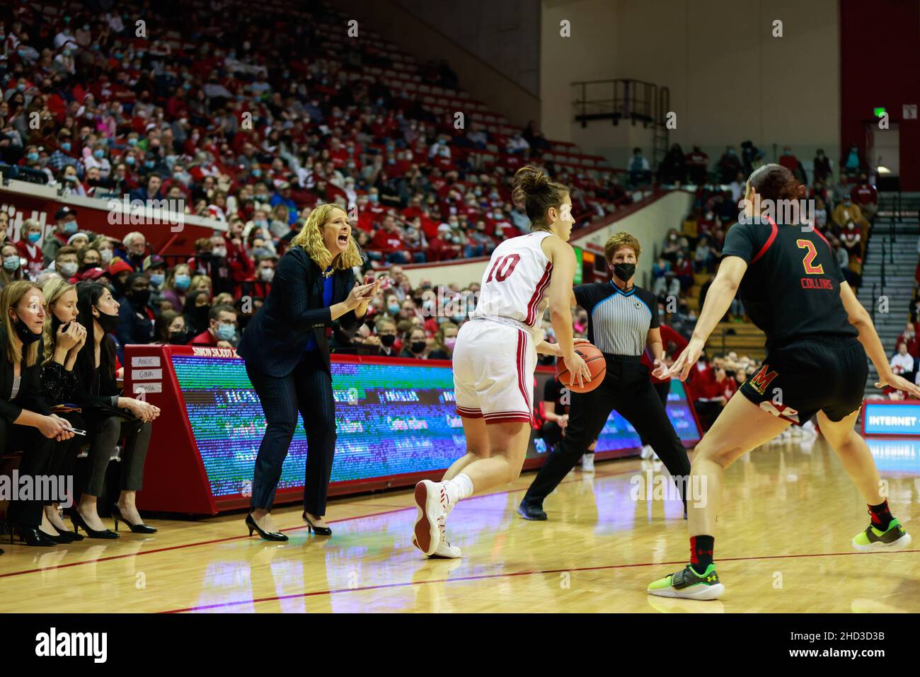 Frese hi-res stock photography and images - Alamy