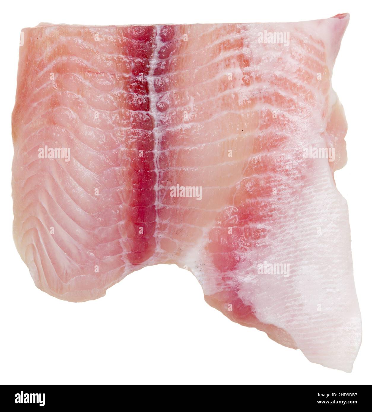 Fresh fish isolated on white background Stock Photo - Alamy
