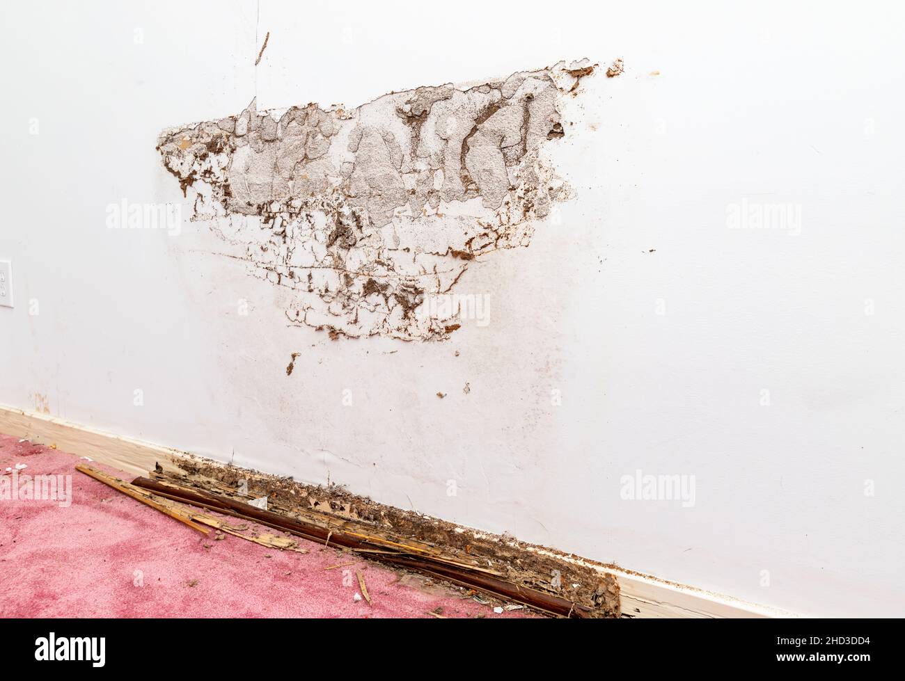 Wall and baseboard of house showing termite and water damage Stock ...
