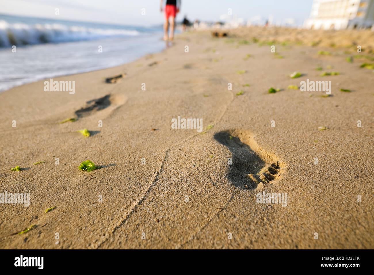 Shallow depth of field (selective focus) details with footprints in the ...