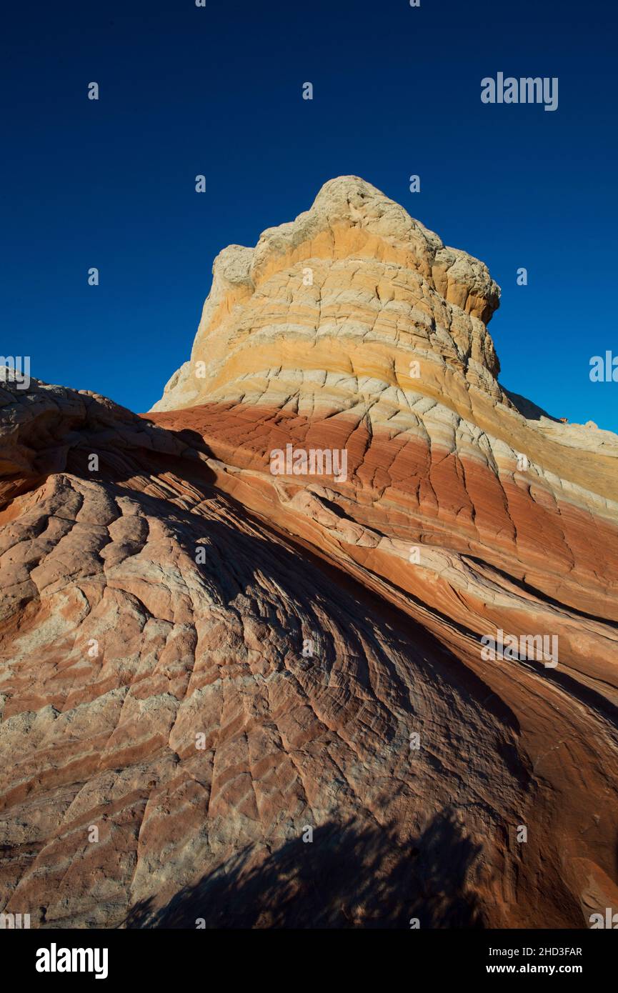 White pocket arizona hi-res stock photography and images - Alamy