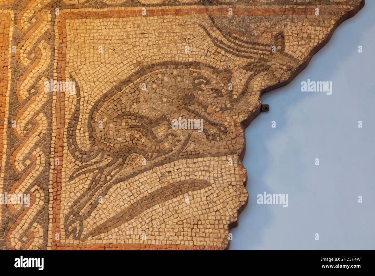 Dewlish roman villa hi-res stock photography and images - Alamy