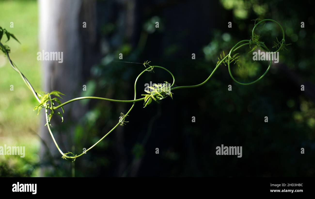 Infinity loop hi-res stock photography and images - Alamy