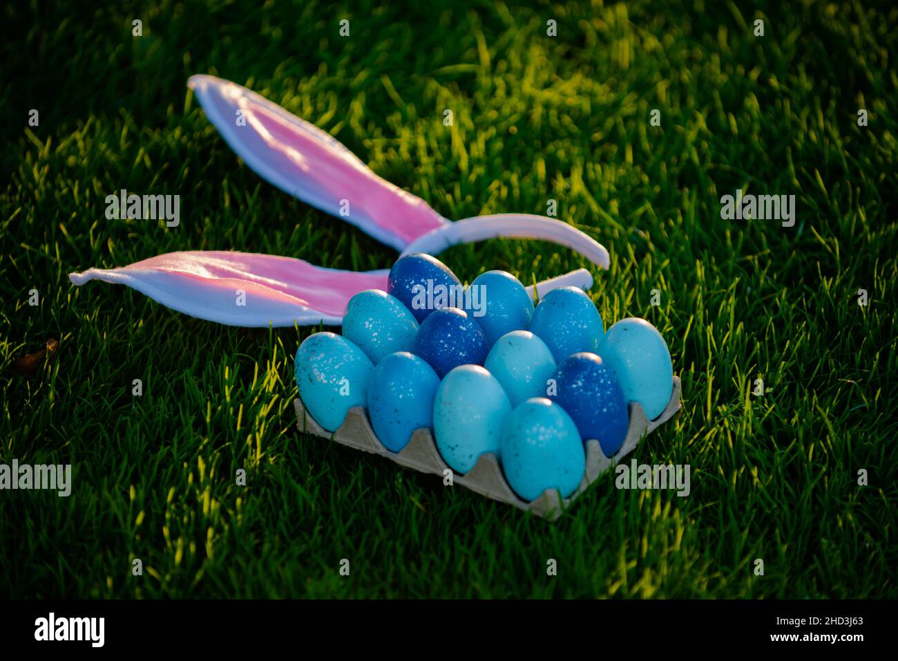 Hunt easter eggs. Easter eggs and bunny ears on green grass background ...
