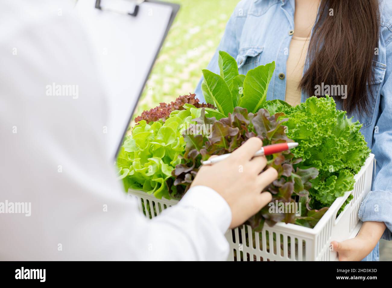 Strict inspection of organic vegetables after harvest for export to the ...