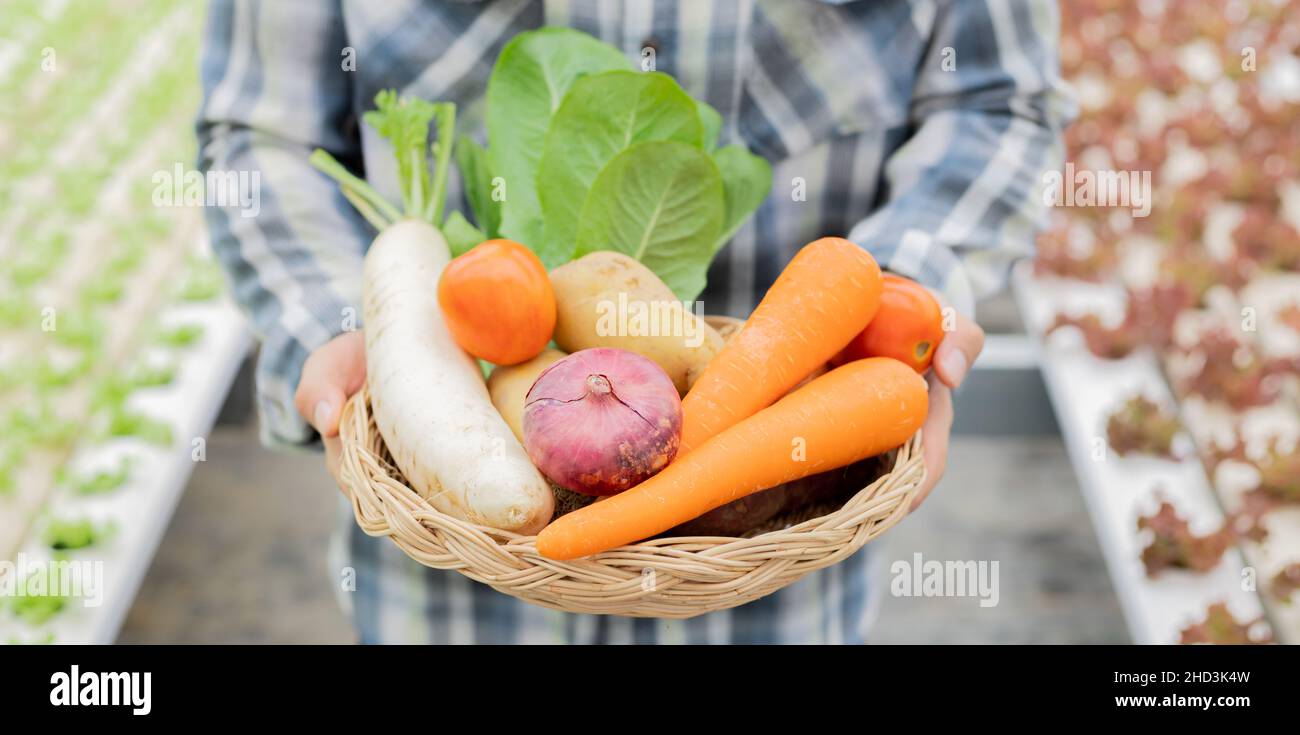 Farmer holding a basket of organic vegetables. Organic vegetables from ...