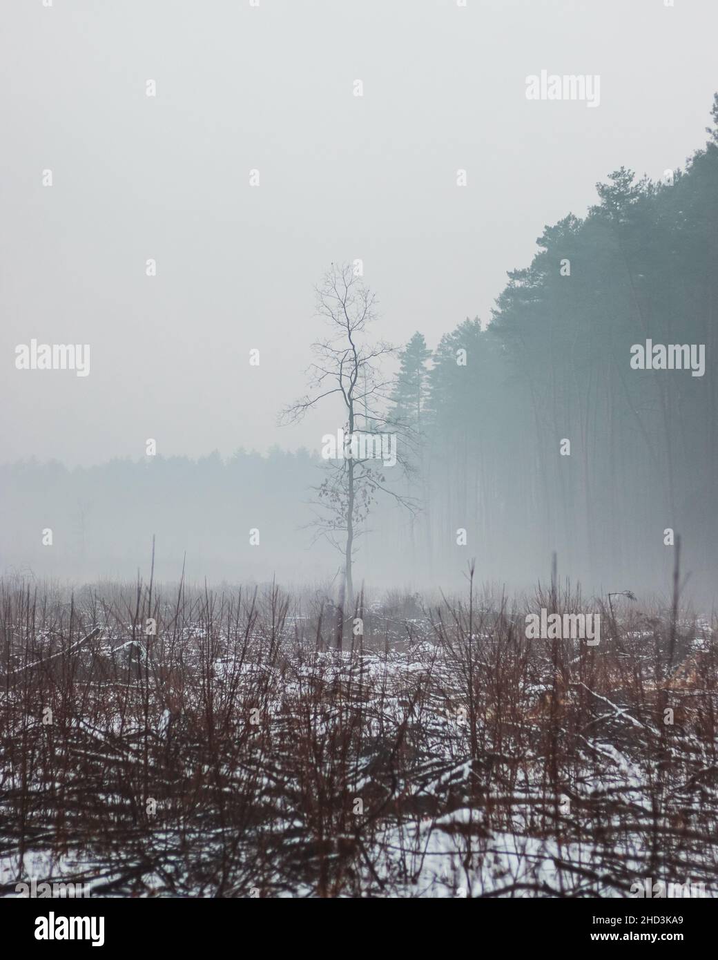 Lonely environment hi-res stock photography and images - Alamy