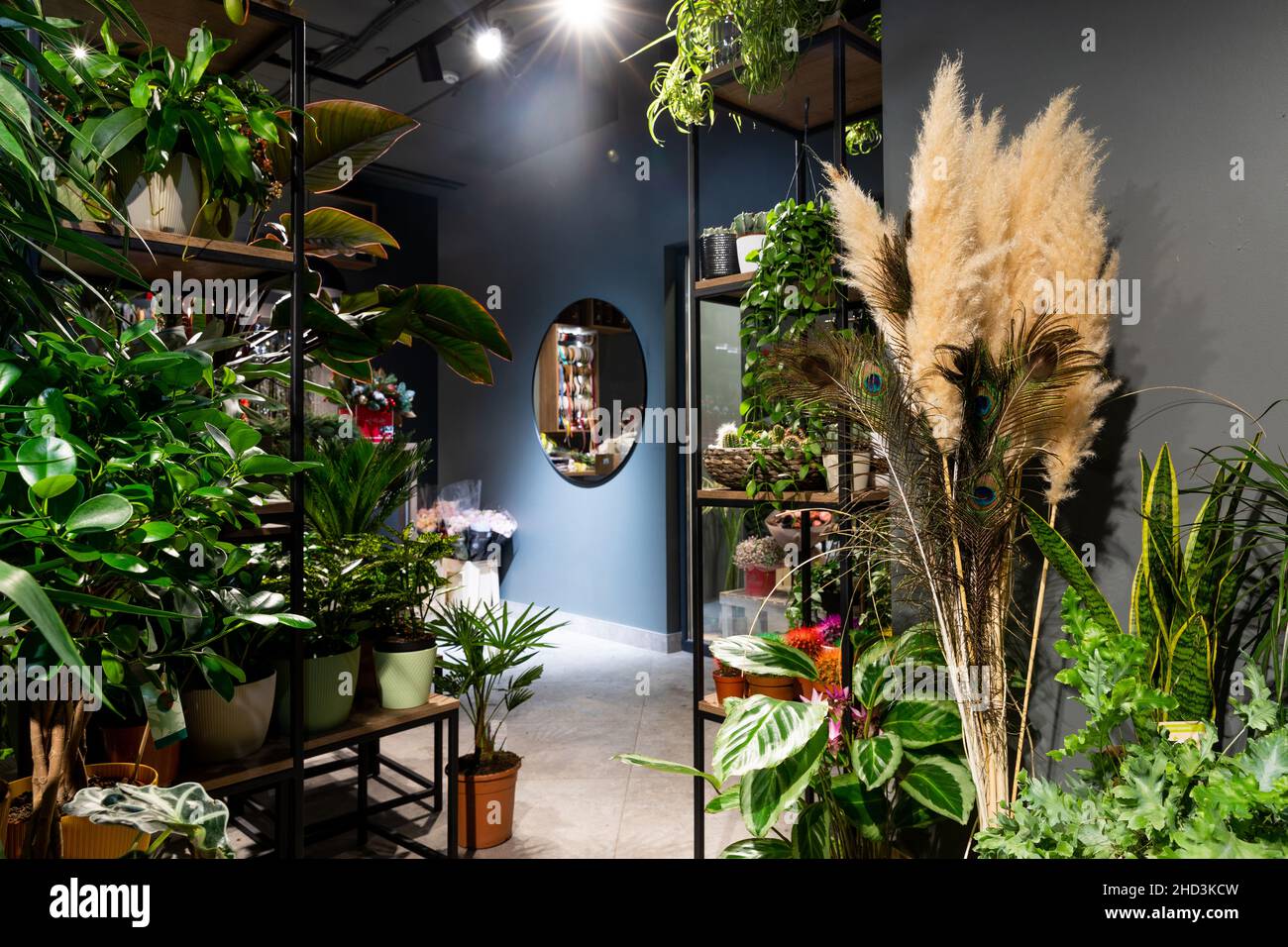 expensive premium interior with stylish renovation of exotic potted ...