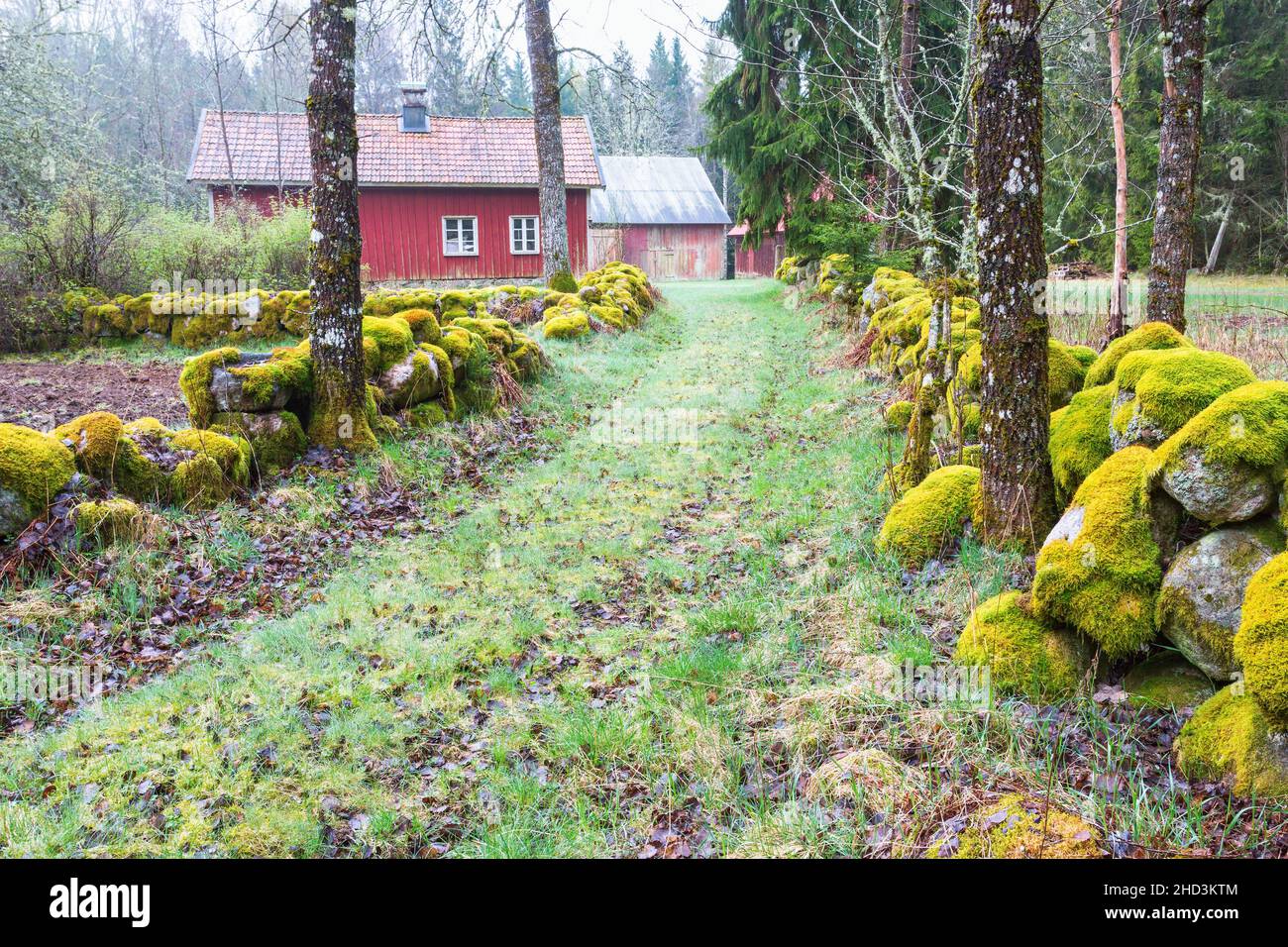 Path between stone walls to the farm Stock Photo - Alamy
