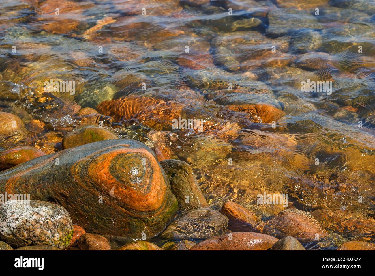 Patterned rock at the beach Stock Photo - Alamy