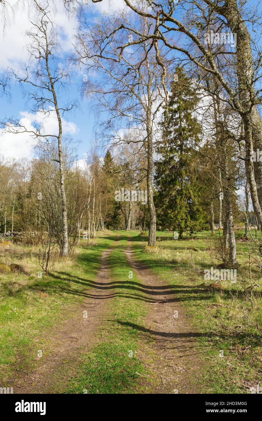 Spring landscapes with a path through the pasture Stock Photo - Alamy
