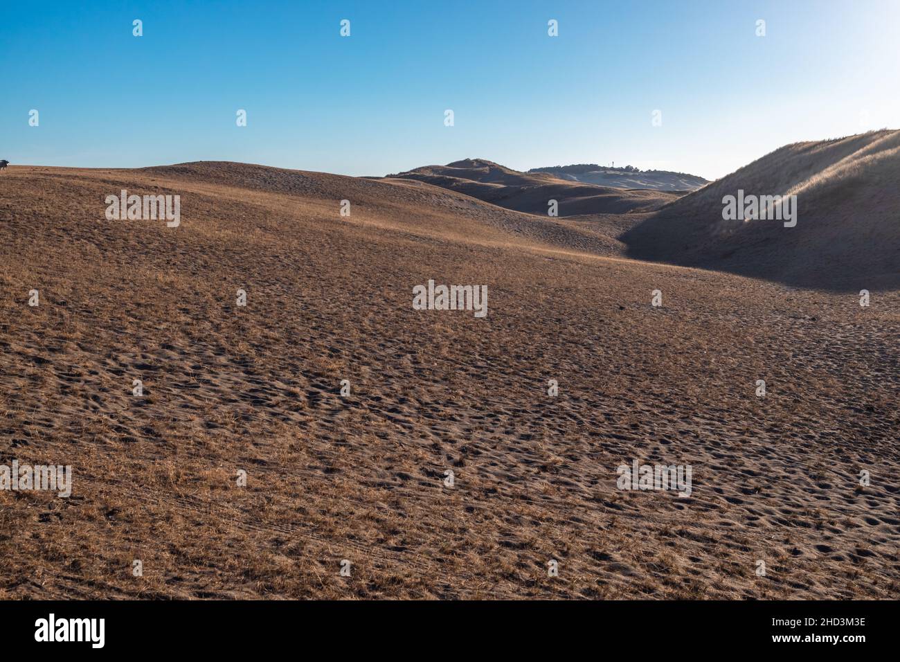 beautiful landscape at Laoag City Sand dunes, Philippines Stock Photo ...